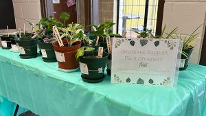Emotional Support Plants Available to Students | UToledo News